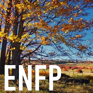 About the ENFP: The Campaigner | Betterhelp