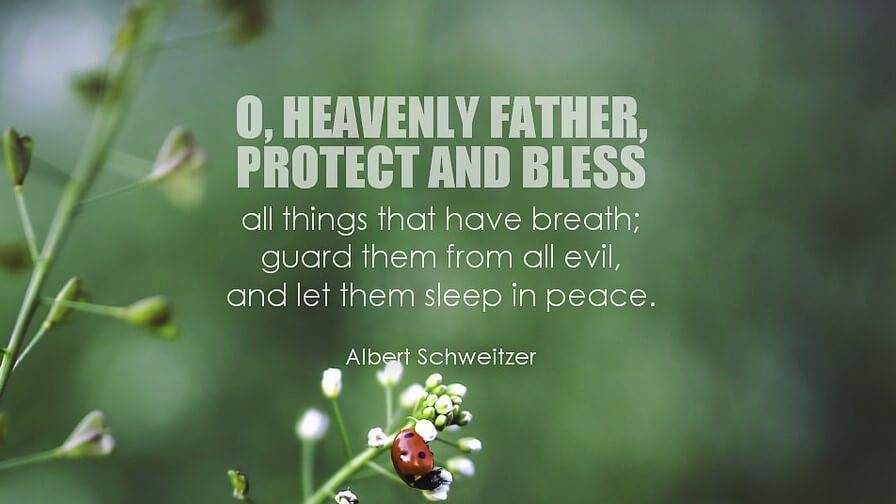 Types Of Nightmares And How To Deal With Them | Betterhelp