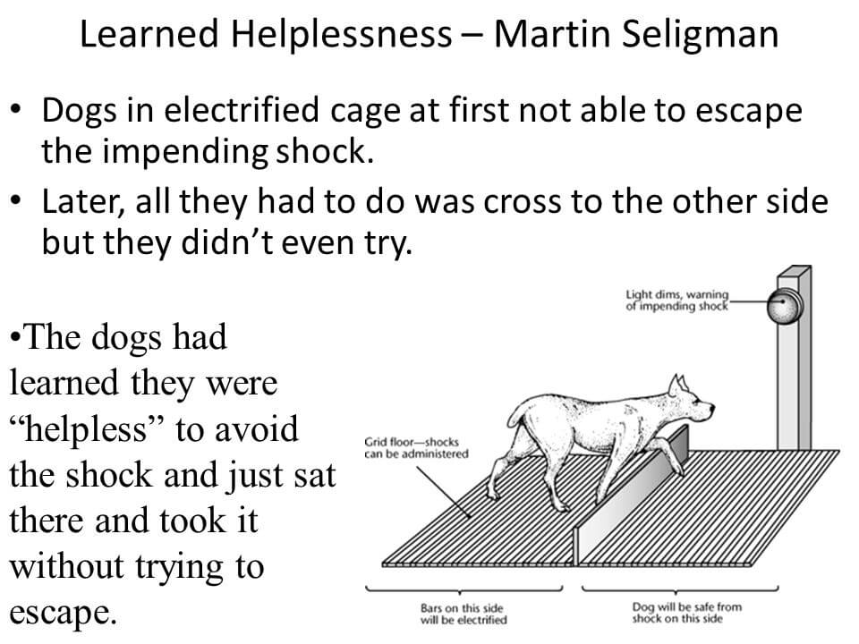 What Is The "Learned Helplessness" Psychology Definition? | Betterhelp